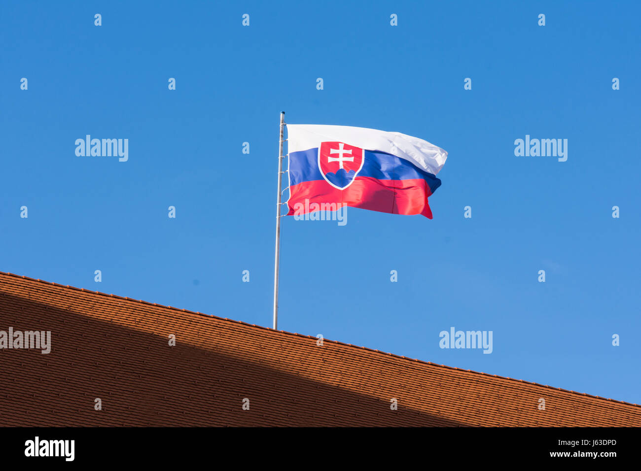 Slovakia flag vector hi-res stock photography and images - Alamy