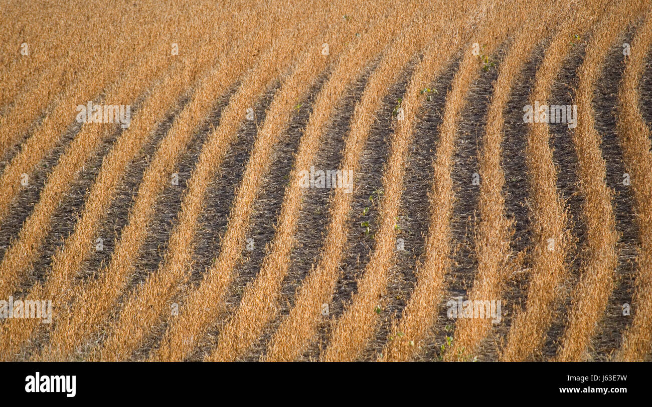 agriculture farming field country farmland rural backdrop background ...