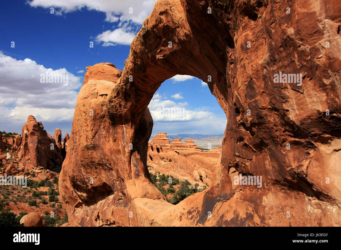 national park usa america double look alike look-alike park holiday ...