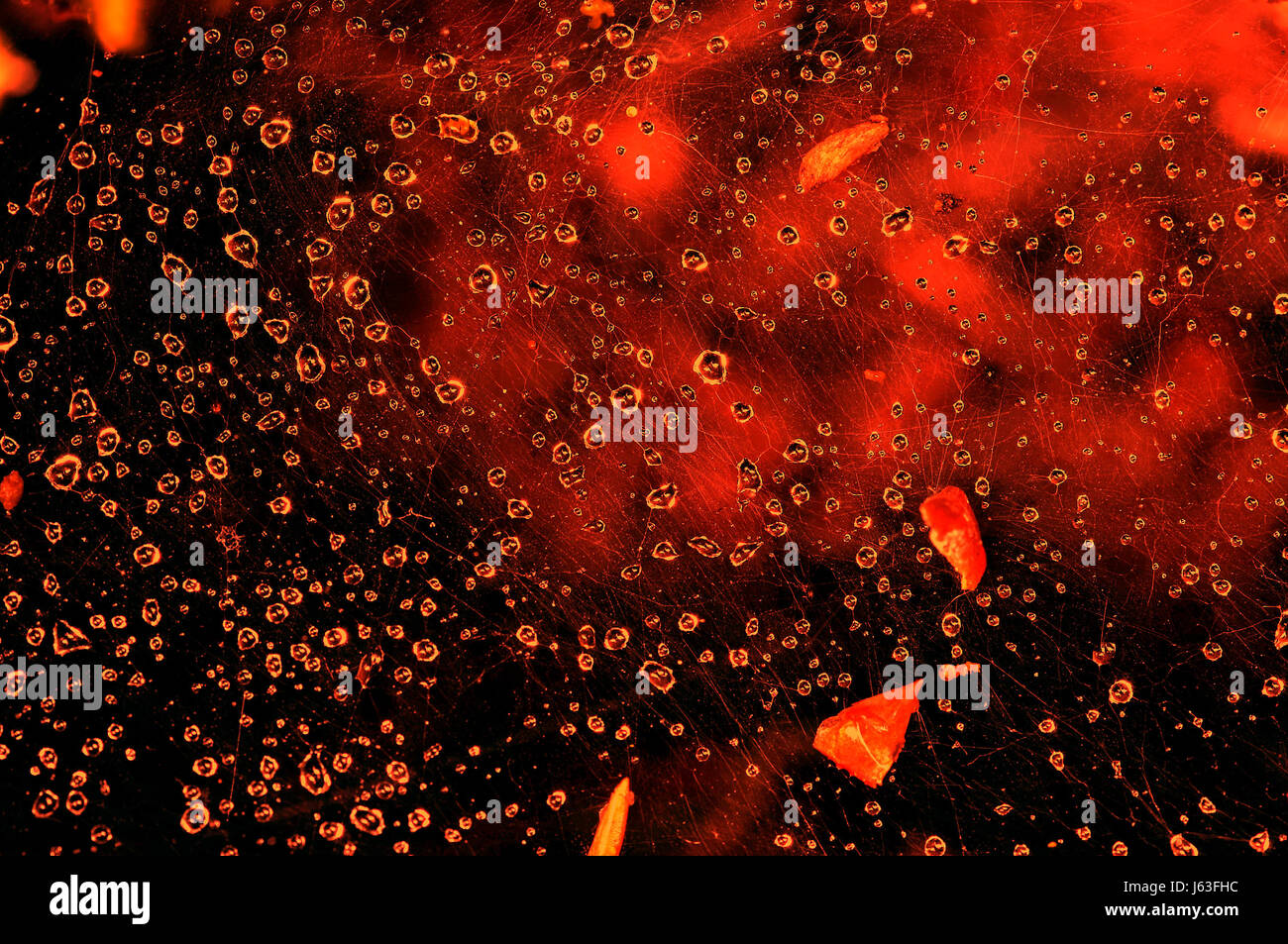 abstract cobweb bloody neuron internet www worldwideweb net web spiders ...