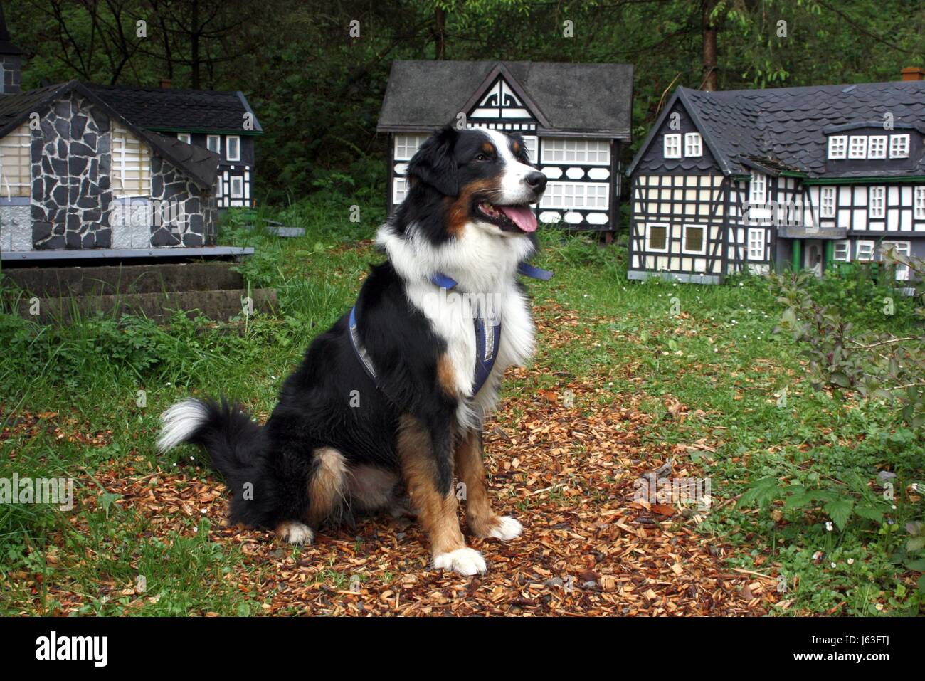 Tri frame hi-res stock photography and images - Alamy