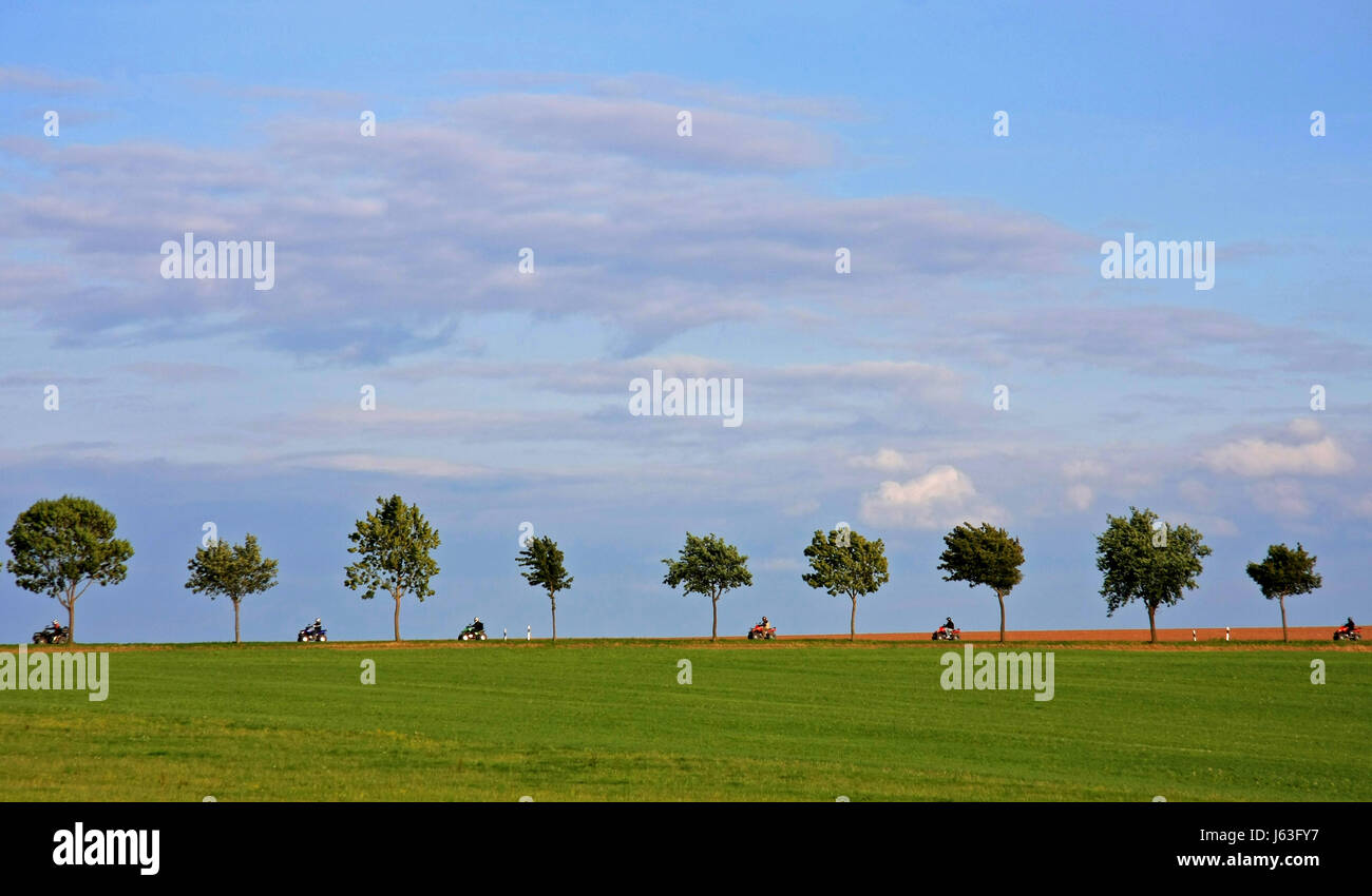 drive tree trees traffic transportation field avenue ferries motorcycle ...