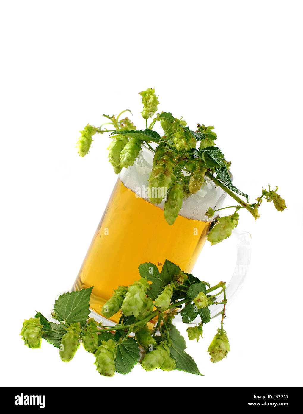 beer with hops Stock Photo - Alamy
