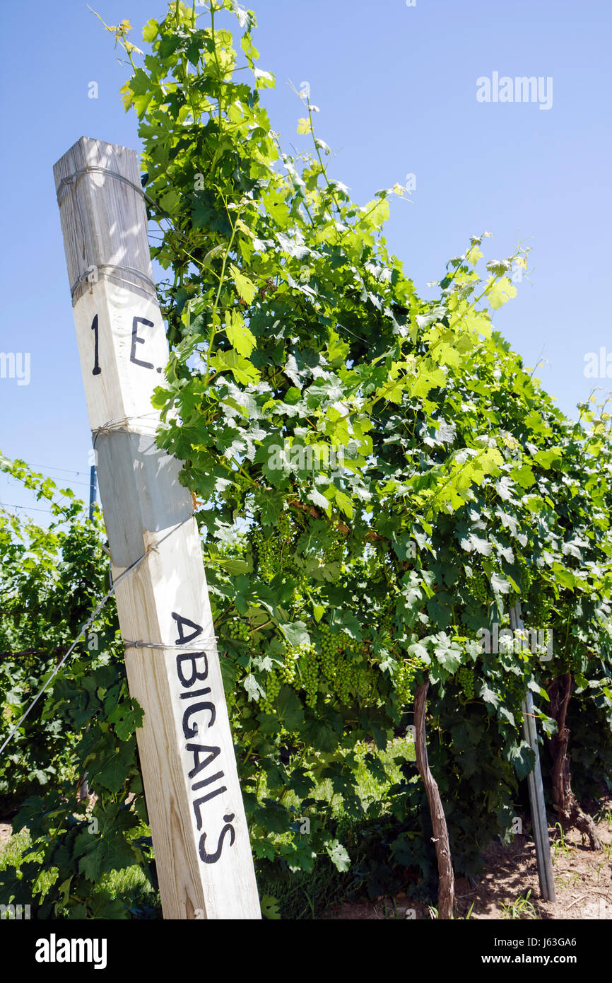 Fruit winery hi-res stock photography and images - Alamy