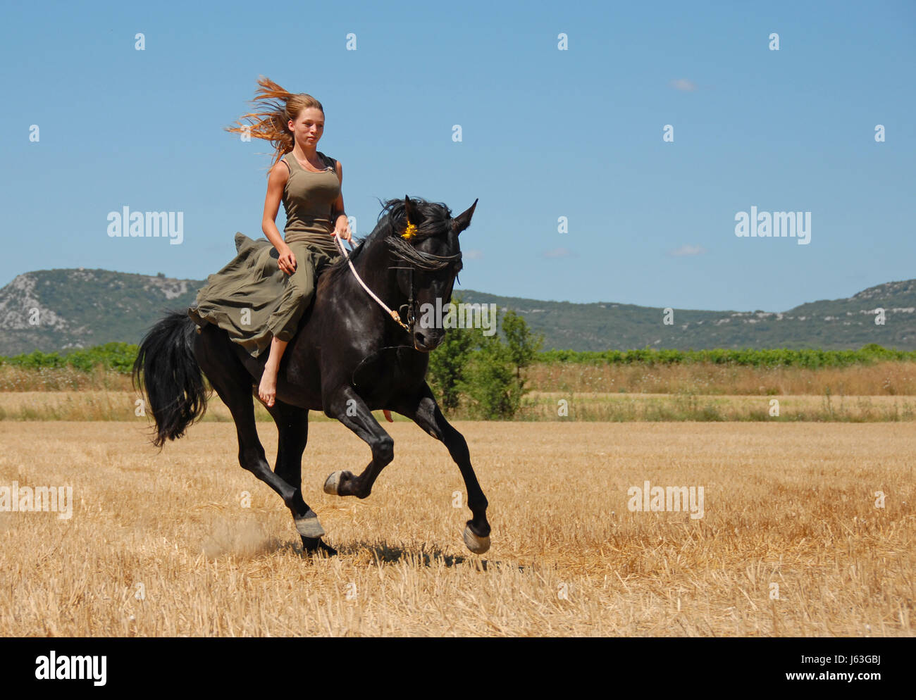 Beautiful woman riding black horse hi-res stock photography and images ...