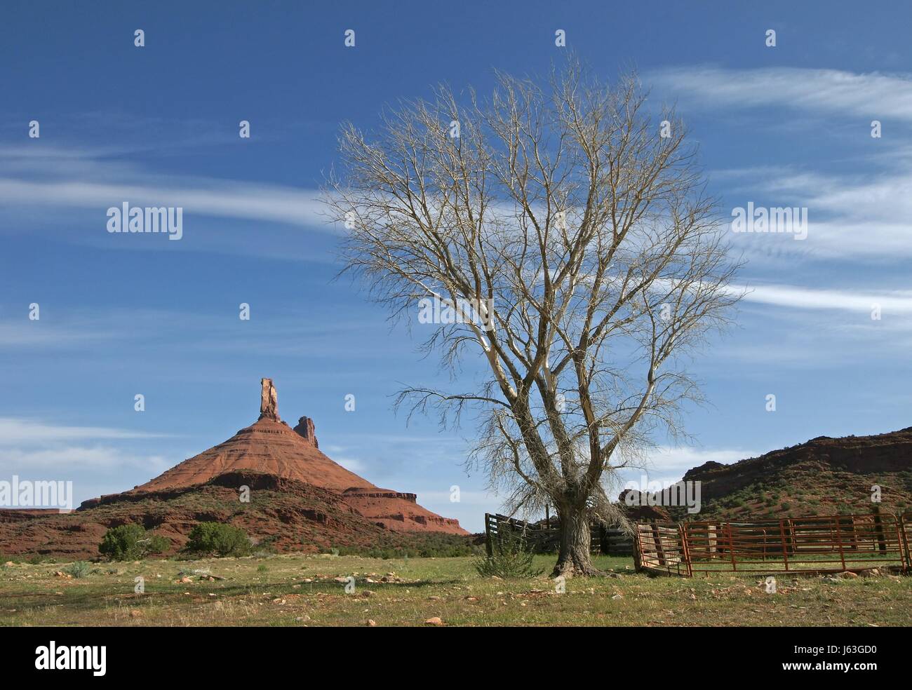 usa rock fence cone tower tree usa rock fence sandstone cone ranch ...