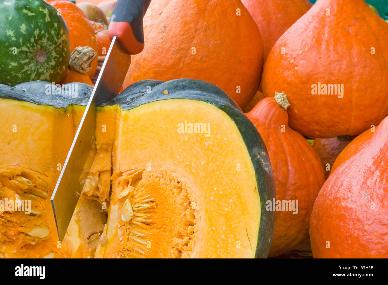 progenies fruits cucurbits edible cultigen plant crops cut arm weapon ...