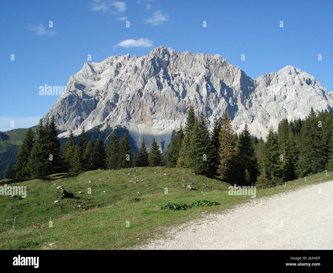 tree trees clump of trees sunshine mountain range mountain blue animal ...
