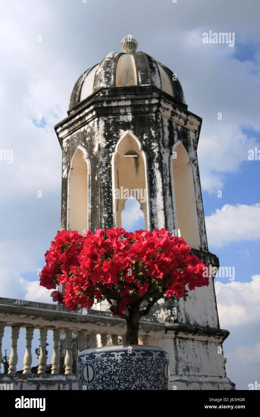 temple asia dome flower flowers plant buddha thailand exterior red ...