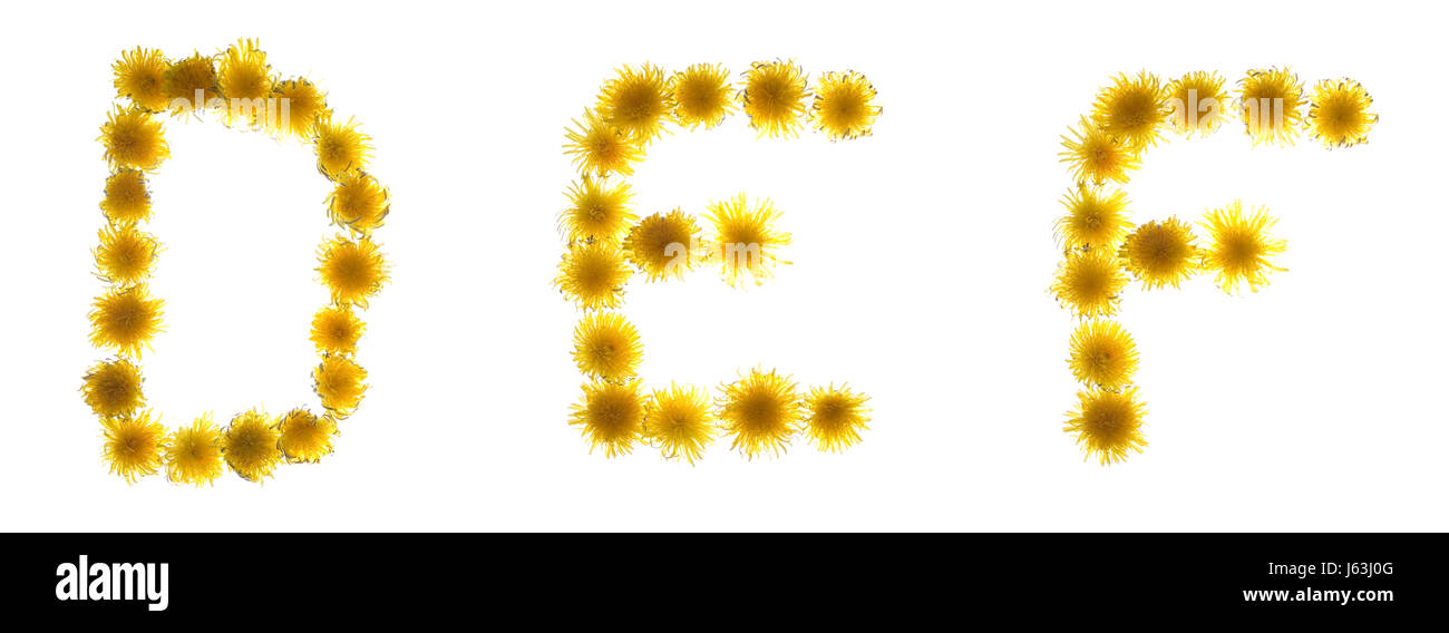 flower flowers plant blossoms letters dandelion letter bleed alphabet ...