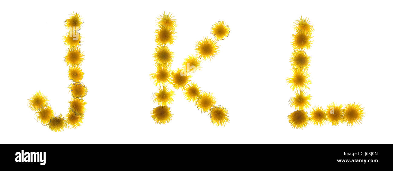 flower flowers plant blossoms letters dandelion letter bleed alphabet ...