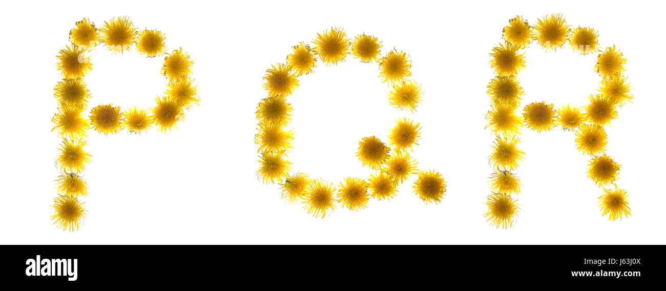 flower flowers plant blossoms letters dandelion letter bleed alphabet ...