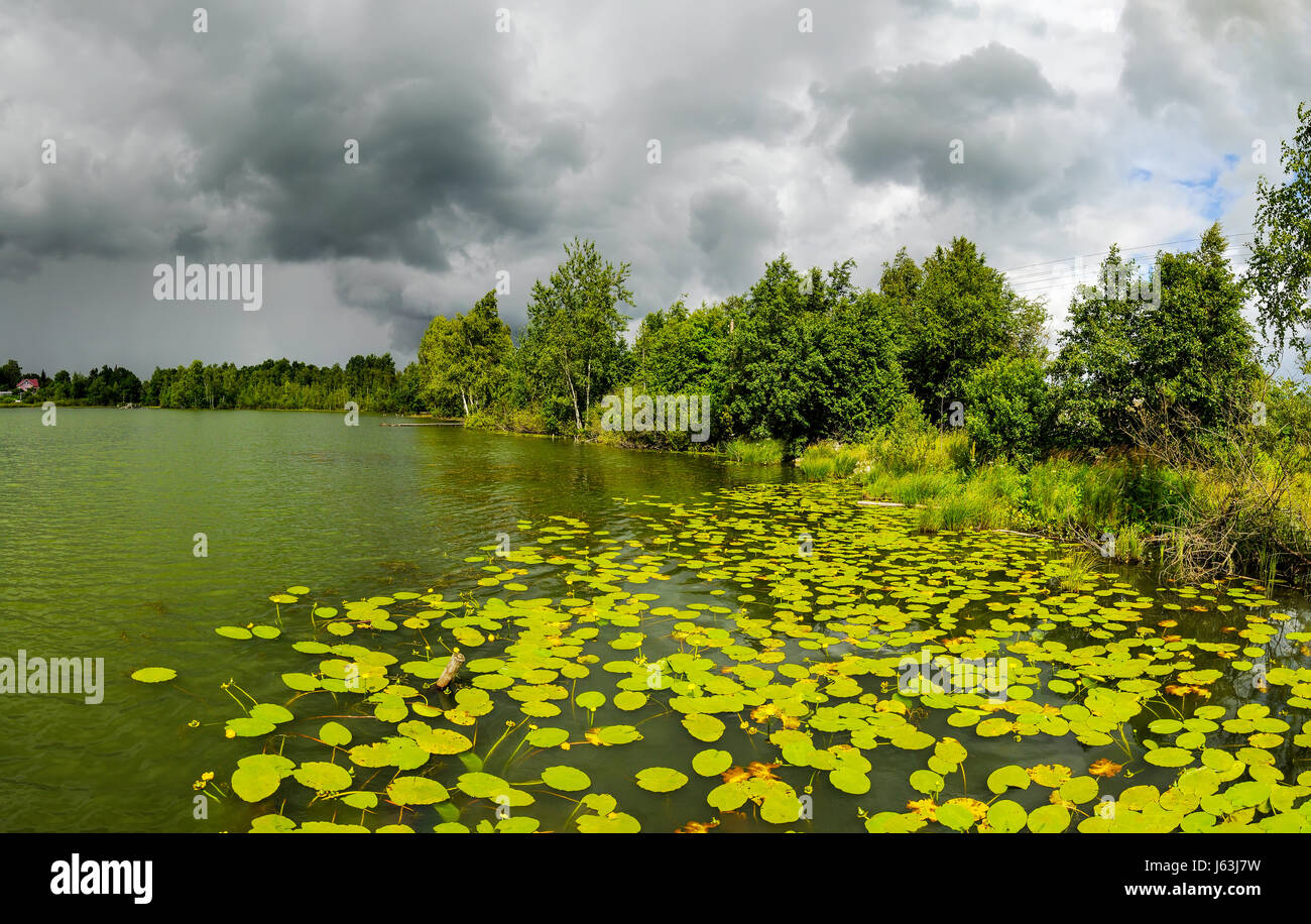 Pond with yellow pods in changeable weather Stock Photo - Alamy