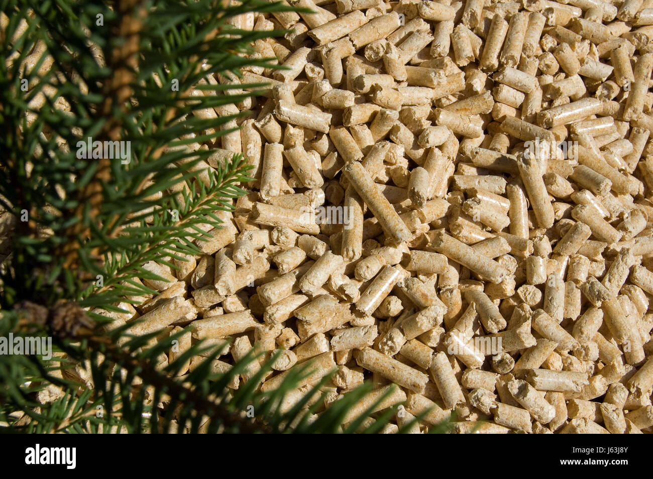 wood energy power electricity electric power alternative pellets pellet ...