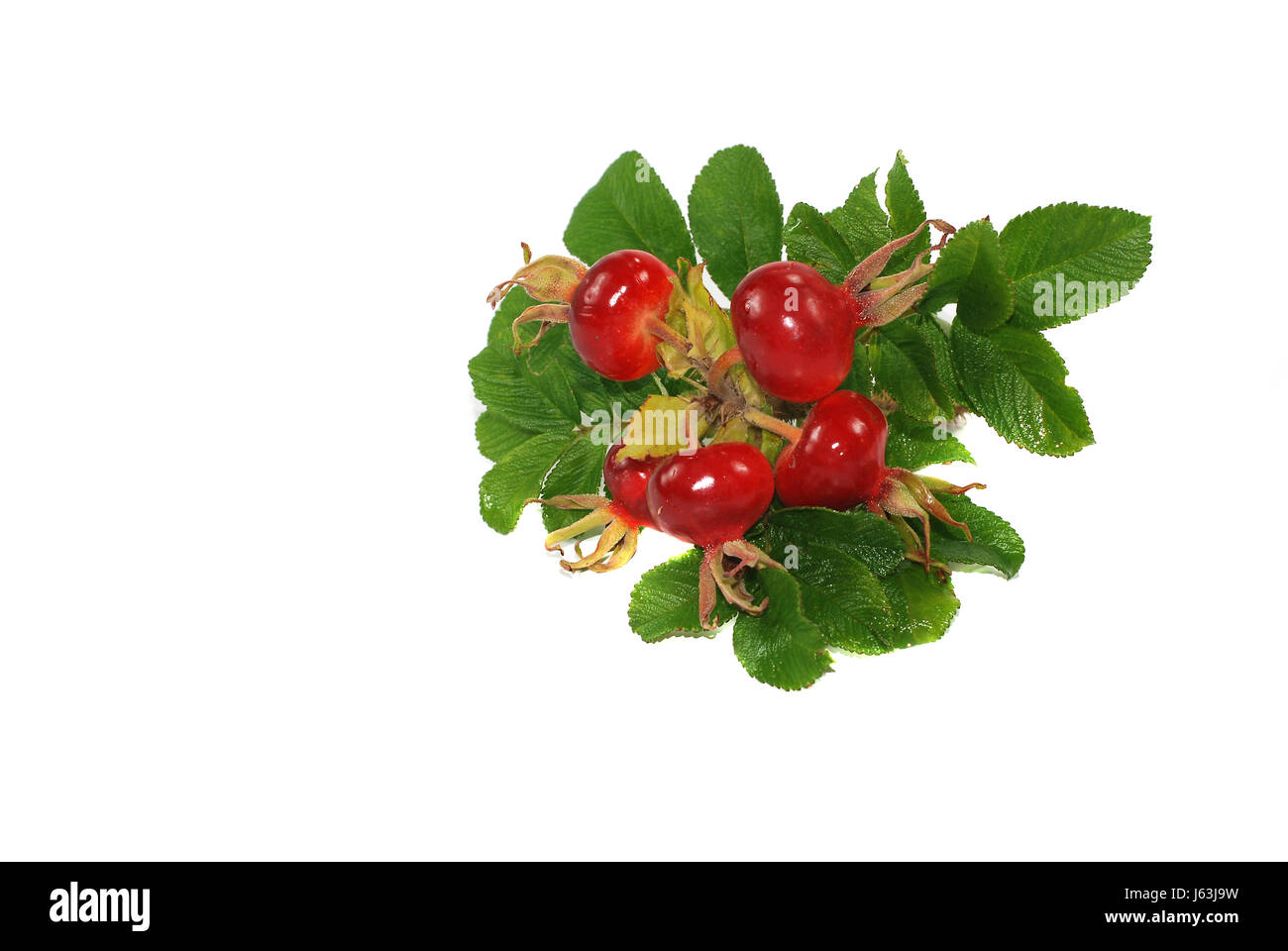 vitamins vitamines fruit haws haw rich in vitamins red vitamins ...