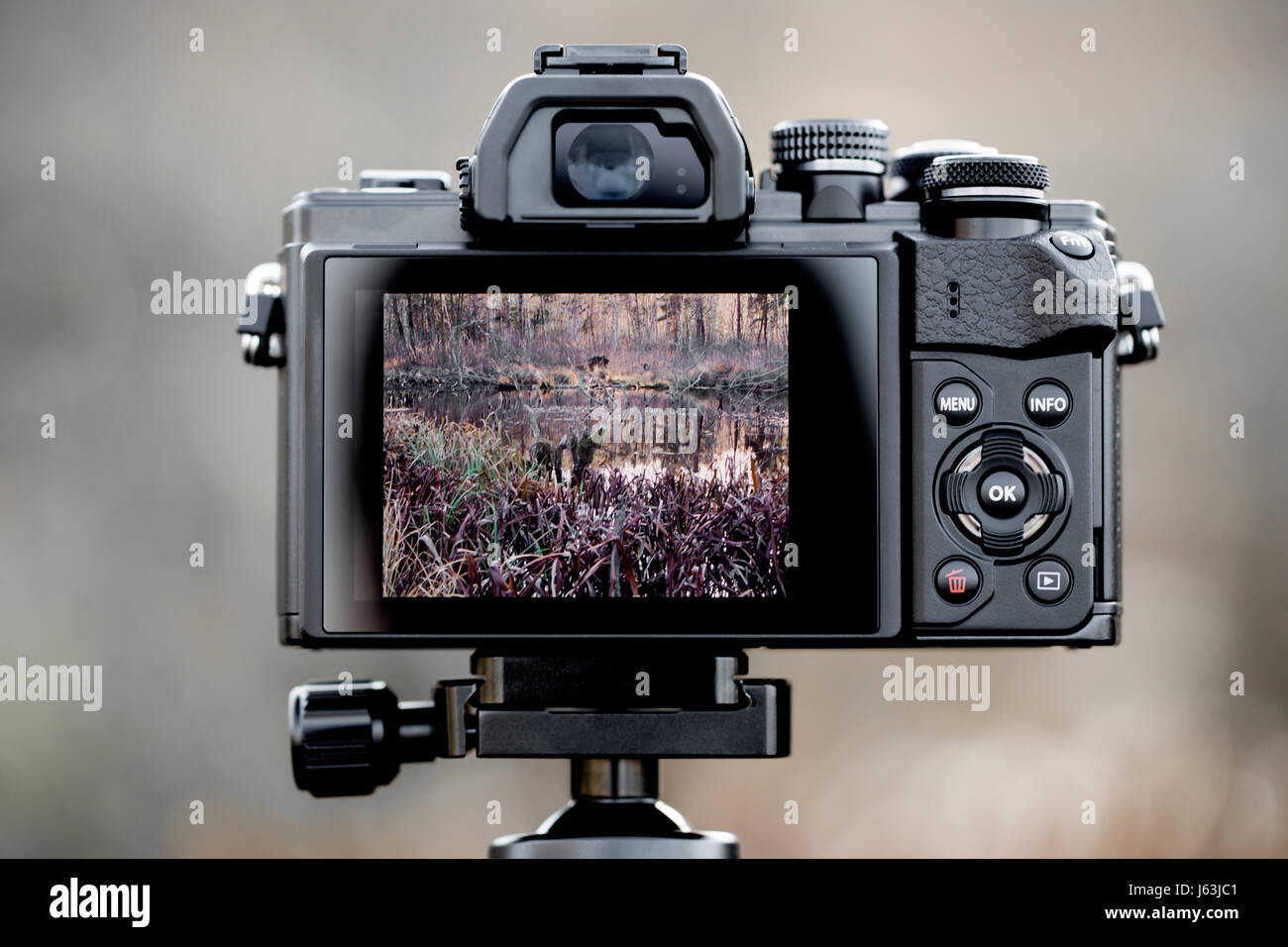 Back of a camera with picture in the display Stock Photo - Alamy