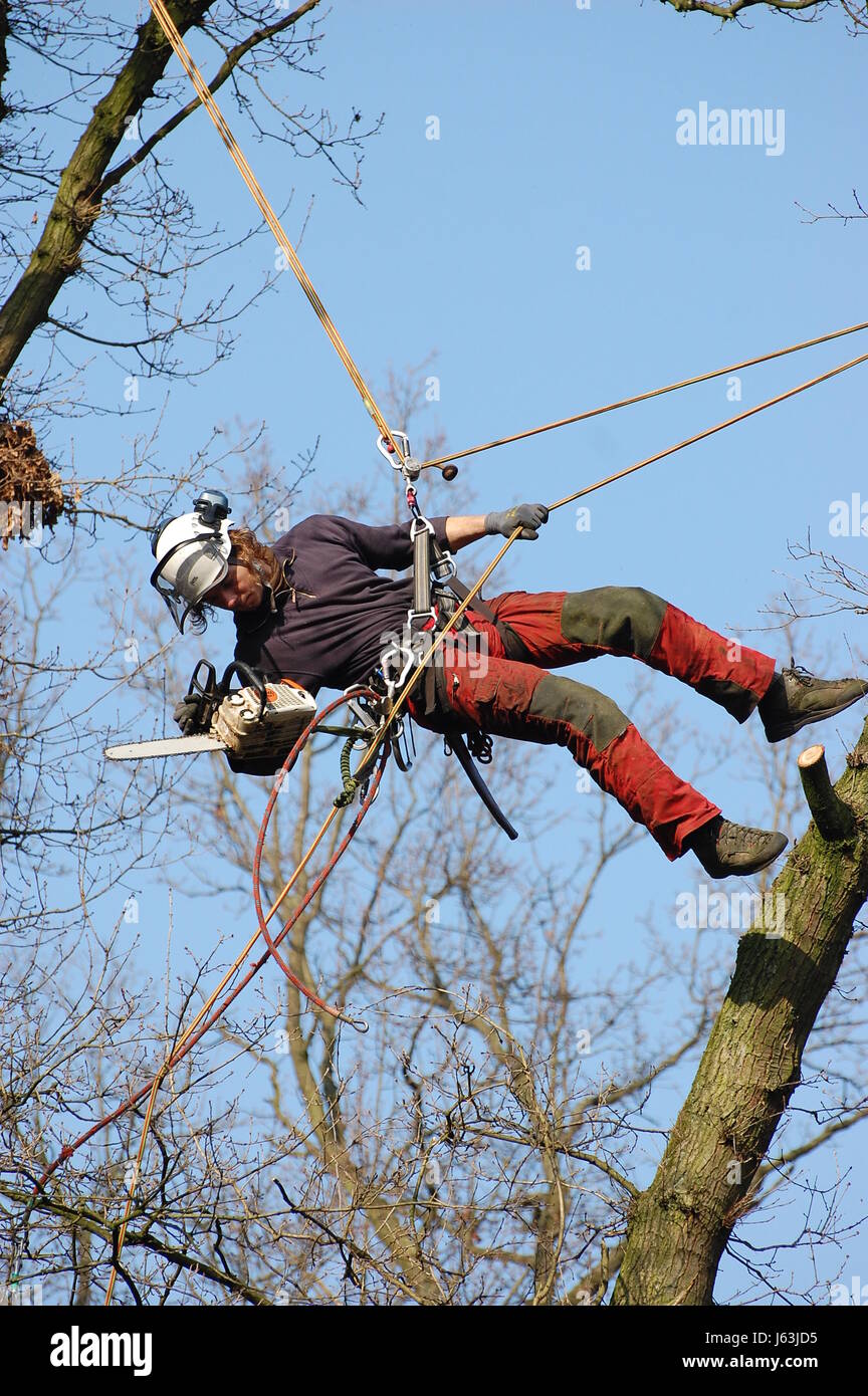 tree climbing techniques Stock Photo - Alamy