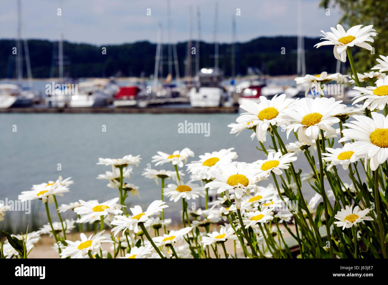 Michigan Traverse City,Old Mission Peninsula,West Arm Grand Traverse ...