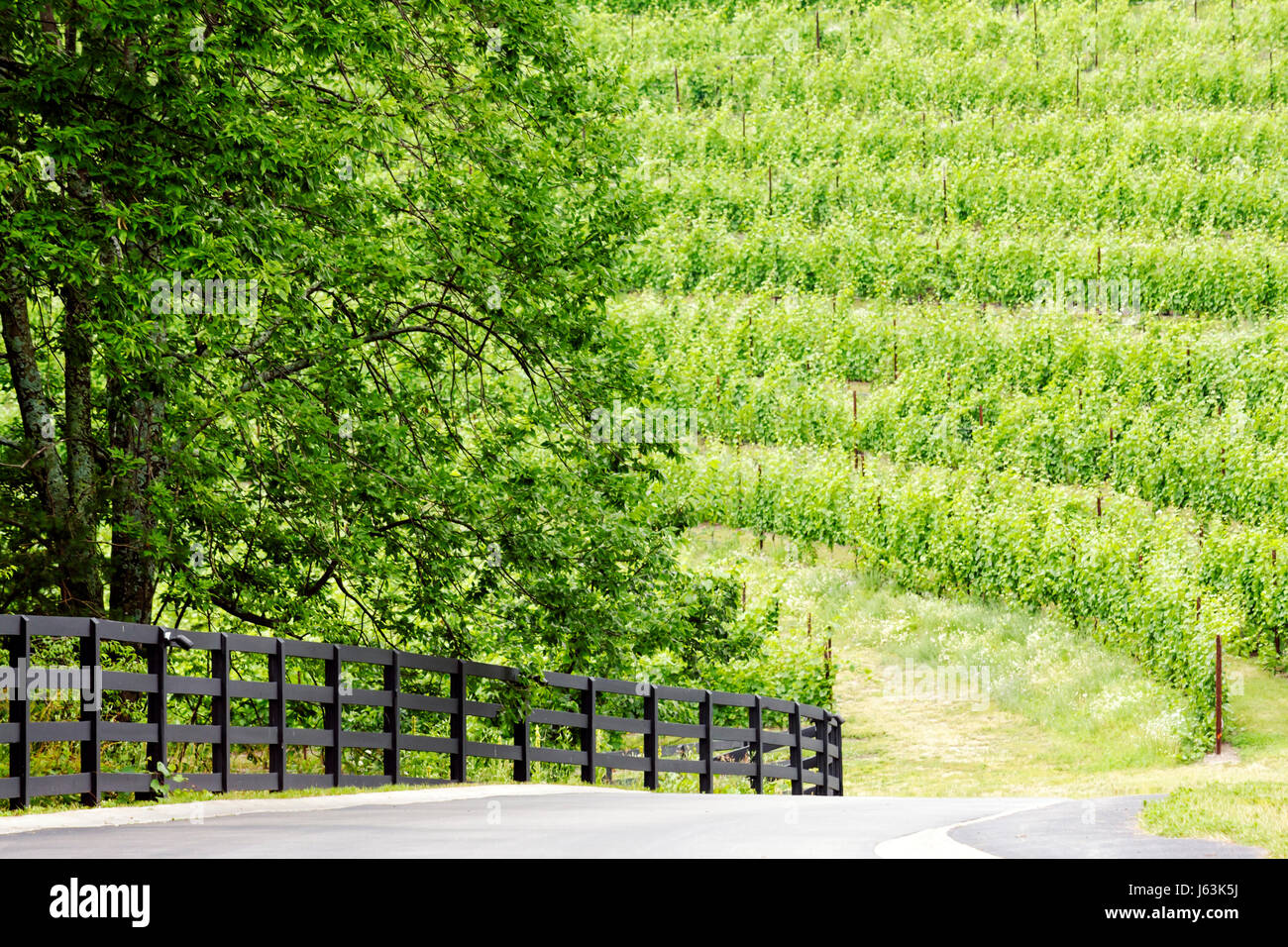 Black star farms winery hi-res stock photography and images - Alamy