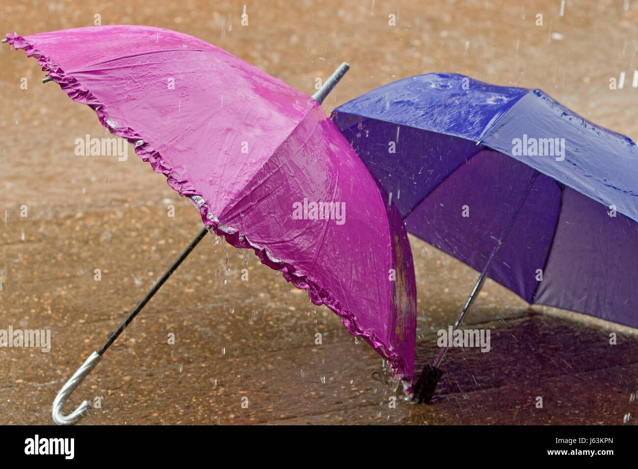 umbrella weather rain raining fall autumn umbrella wet protect ...