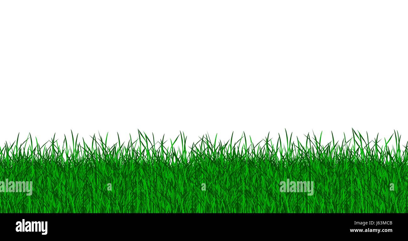 green blade of grass meadow grass lawn fresh plant nature green ...