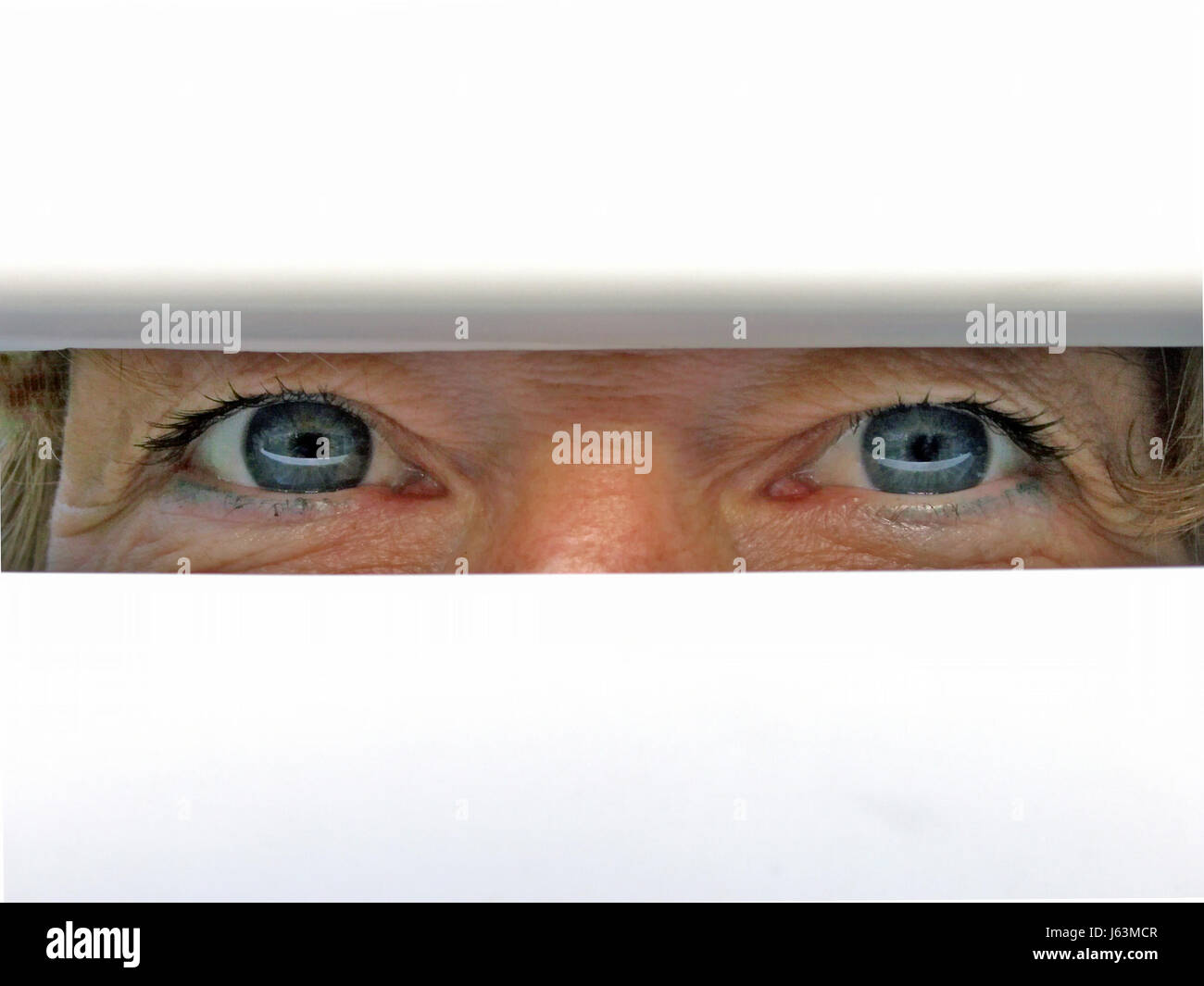 blue curiosity curious nosey nosy eyes look glancing see view looking ...