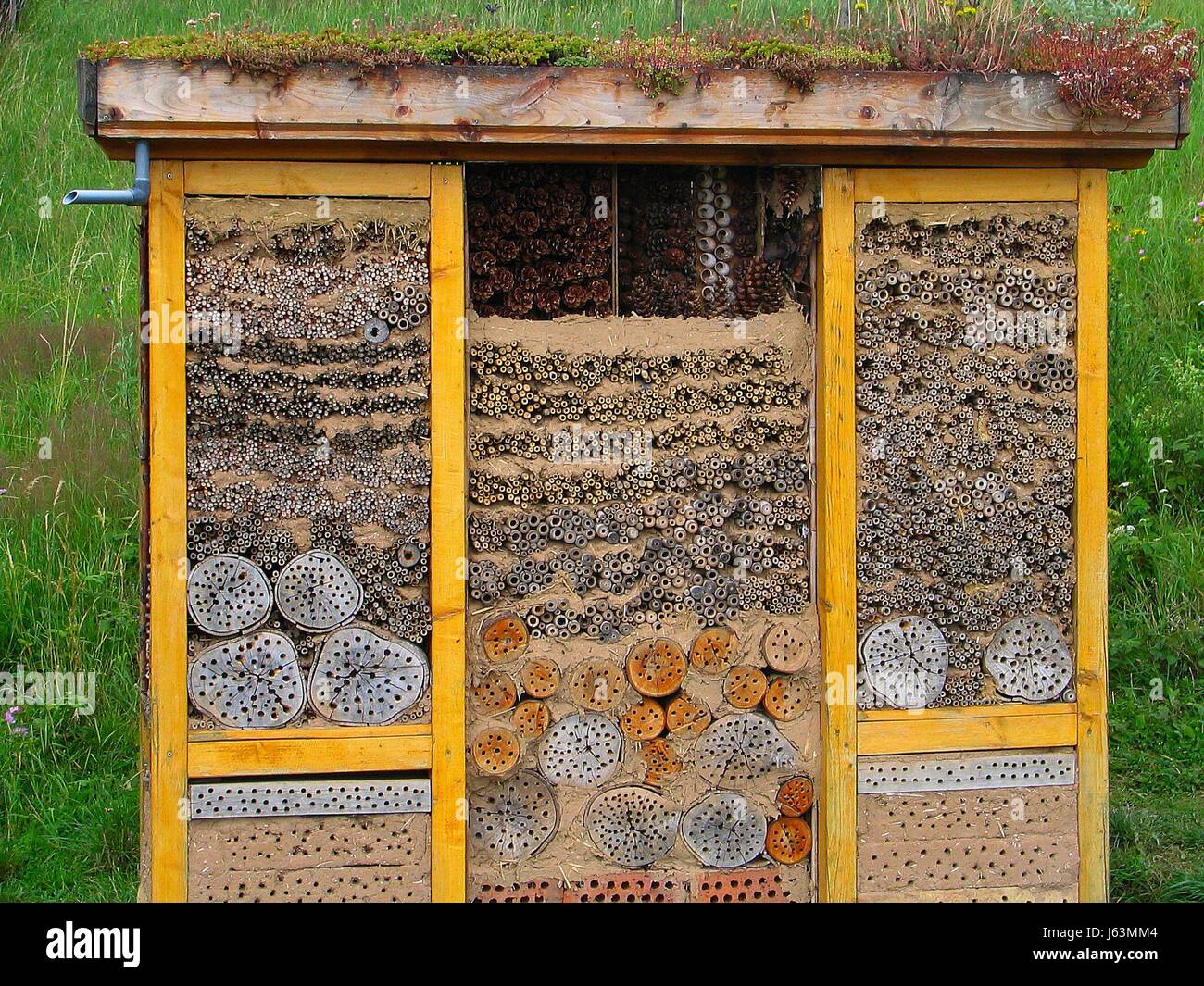 presentation insects hotel hideout presentation insects hotel hideout ...