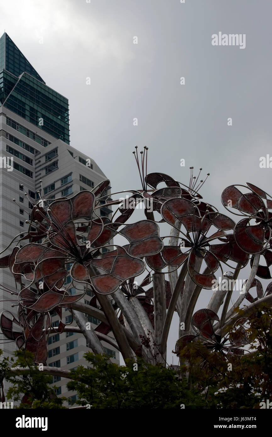 flower plant asia korea colossally flower plant asia korea colossally ...