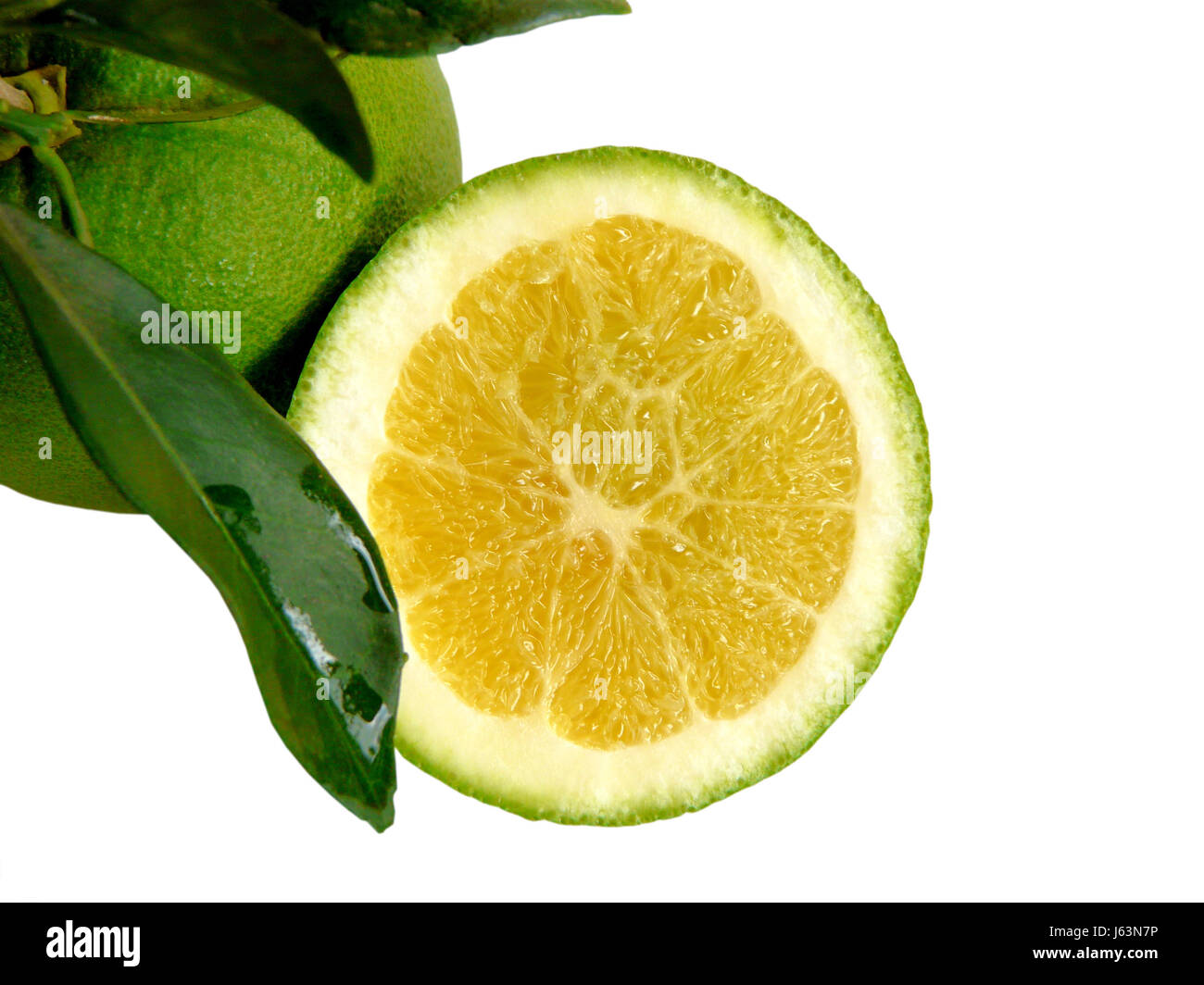 fruit disc citrous fruit lime lemon citron leaf vitamine green fruit ...