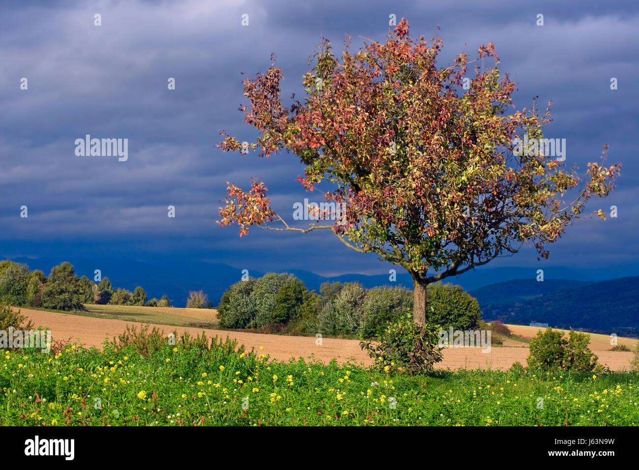 welch weather in basel Stock Photo - Alamy