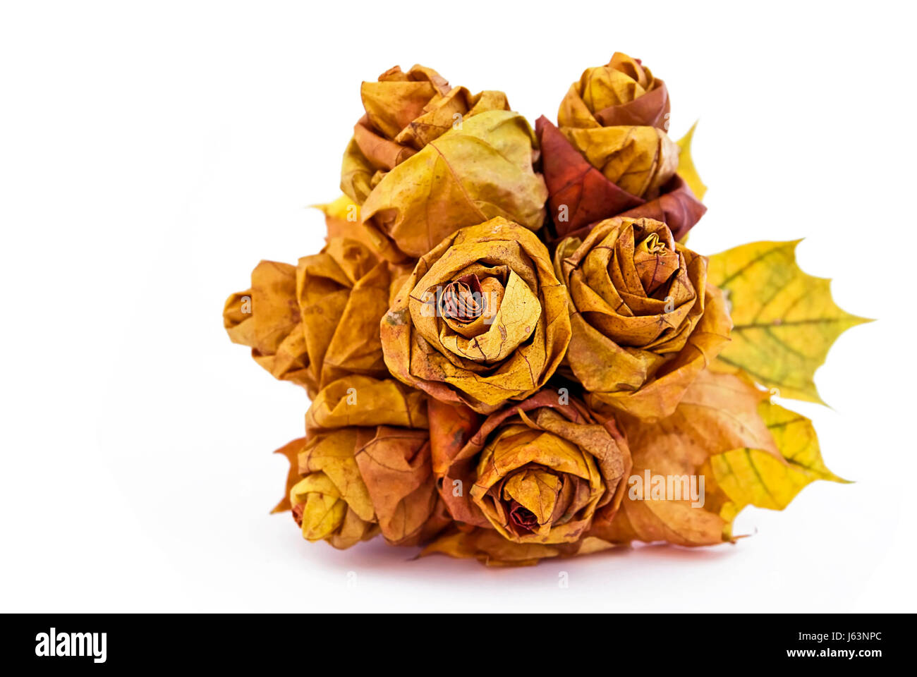 leaf flower rose plant leaves maple rose bouquet fall autumn leaf ...