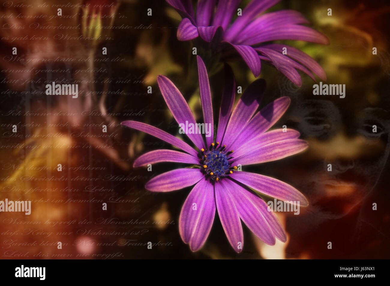 Remember me badge hi-res stock photography and images - Alamy