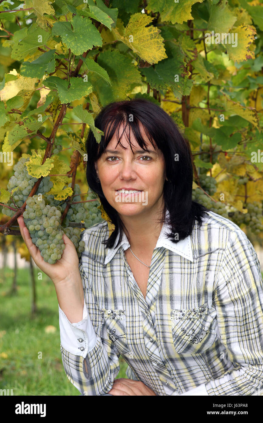 woman vines vine grape vine grape-vine grapes bunches of grapes girl ...