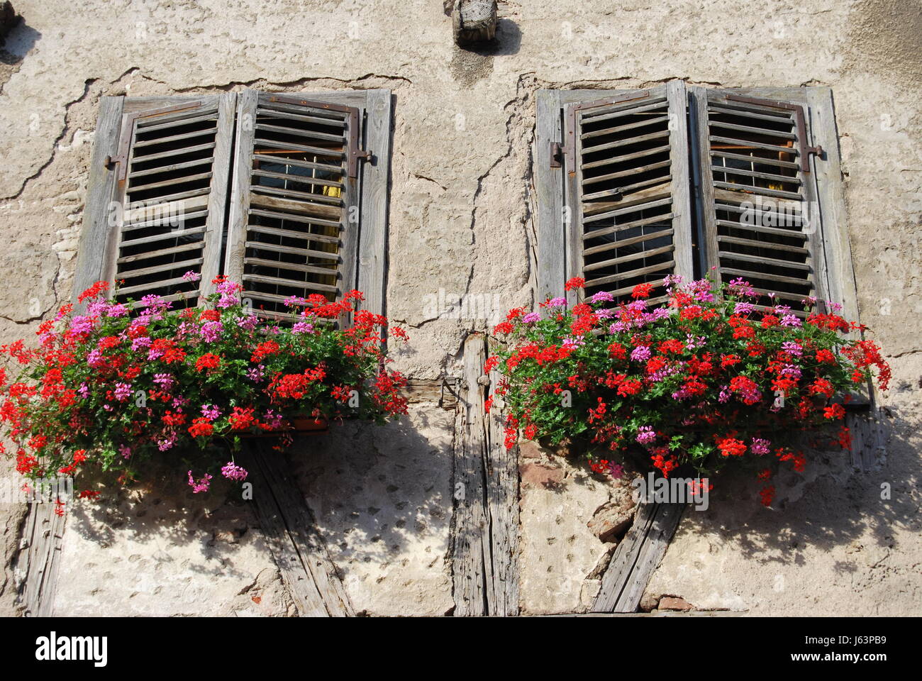 window porthole dormer window pane bloom blossom flourish flourishing ...