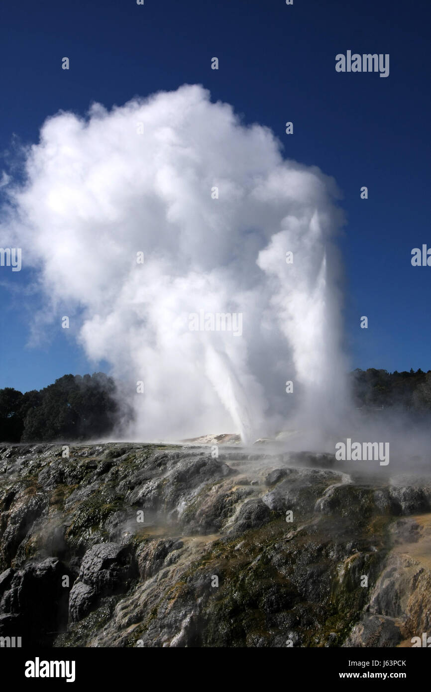 geyser in rotorua new zealand Stock Photo - Alamy