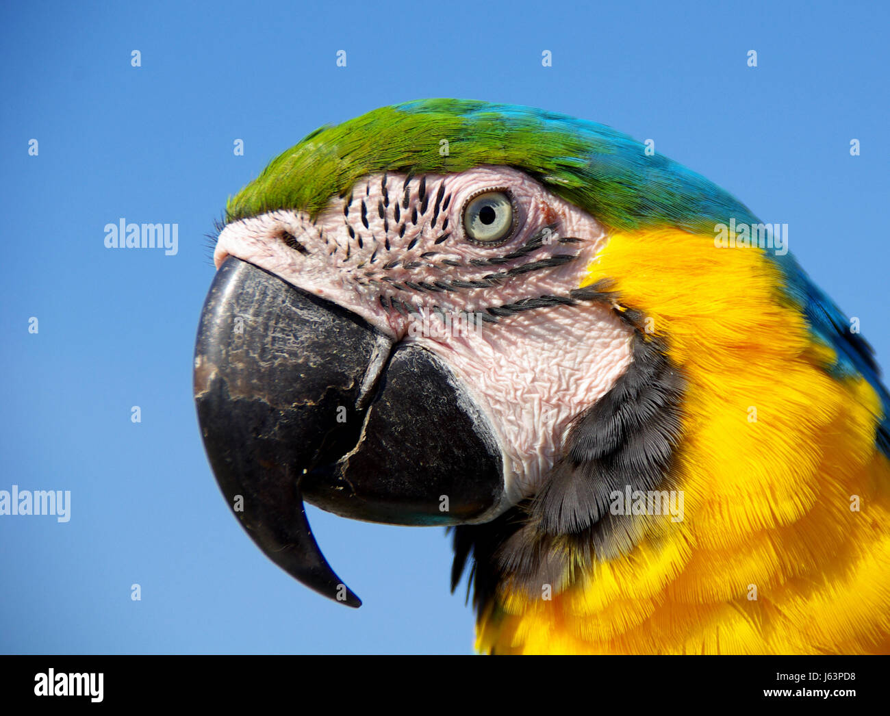 Sidelong glance hi-res stock photography and images - Alamy