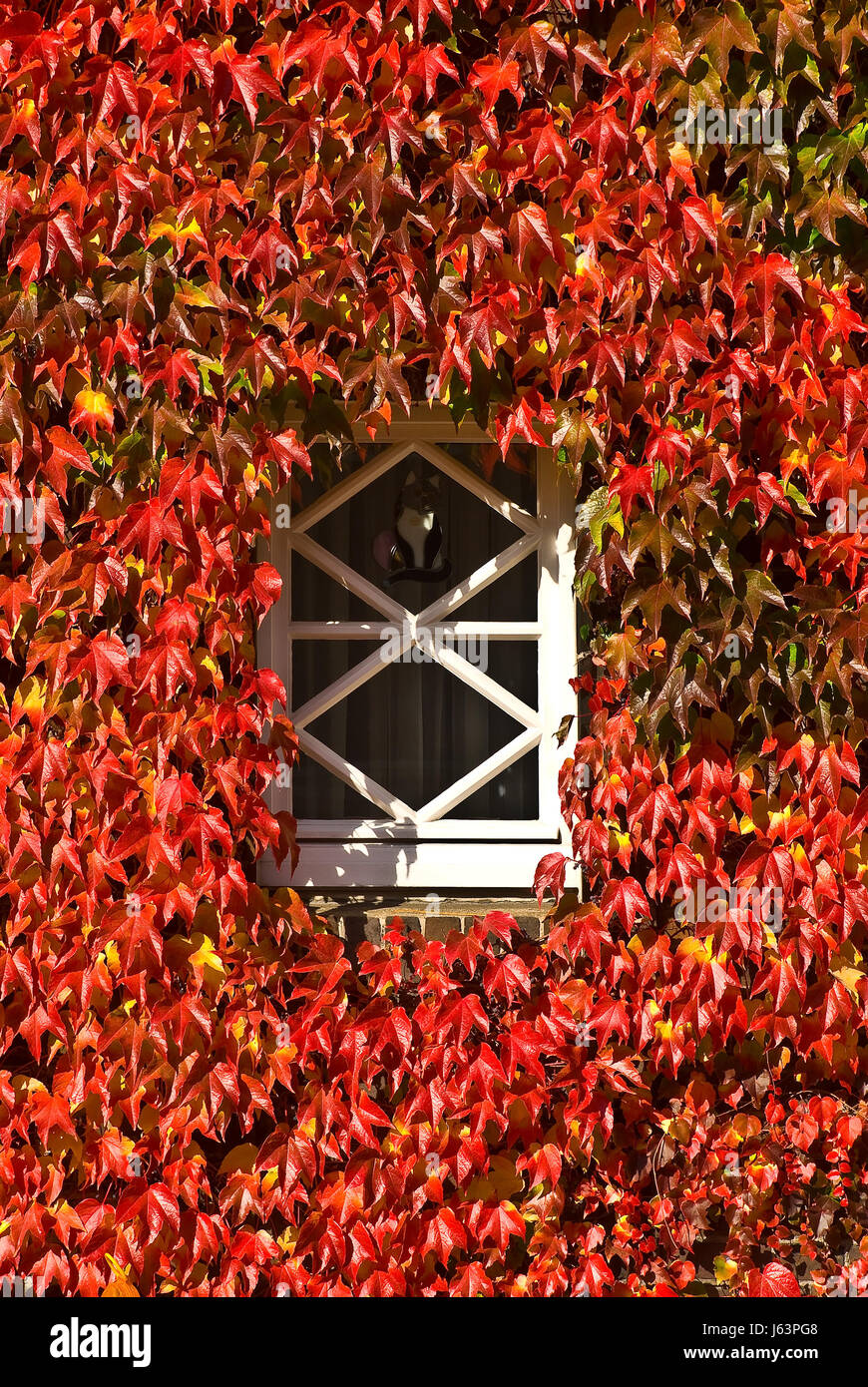 Wine rank hi-res stock photography and images - Alamy