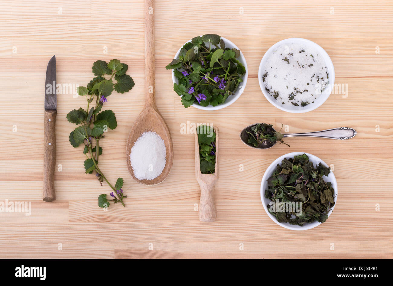 herbal salt, fresh and dried ground ivy Stock Photo - Alamy