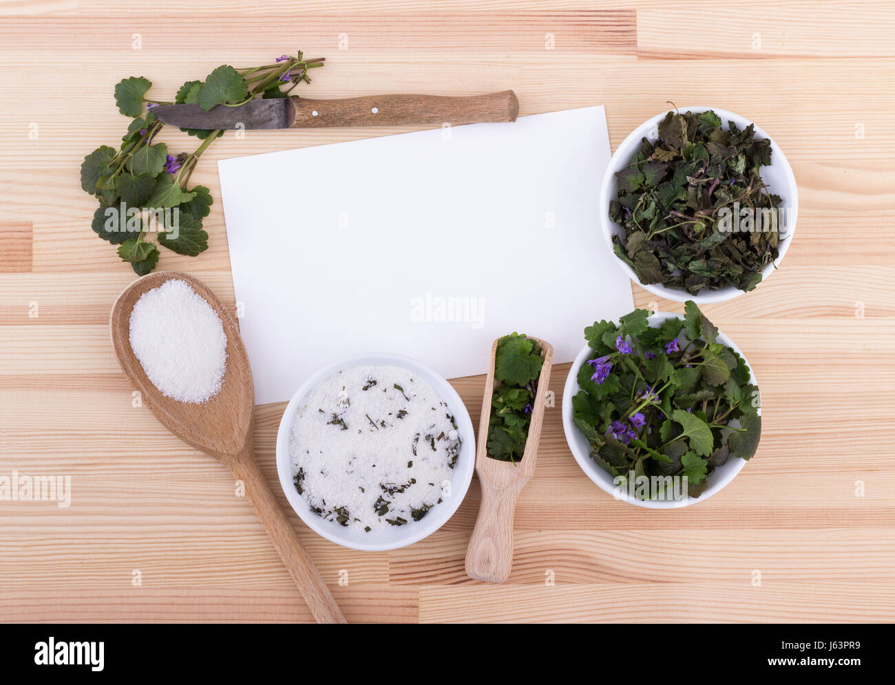 herbal salt, fresh and dried ground ivy Stock Photo - Alamy