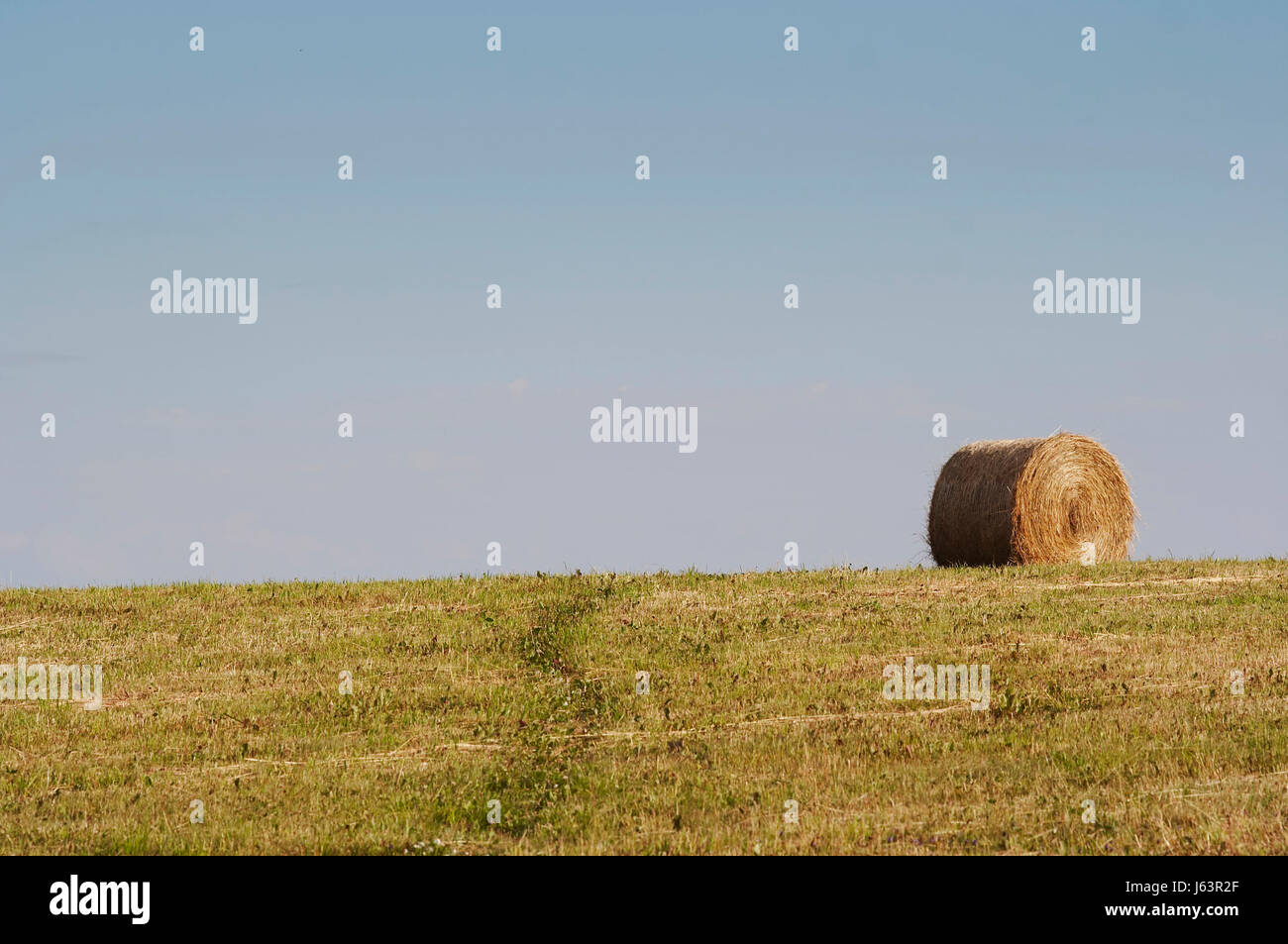 agriculture farming summer summerly hay meadow pictogram symbol ...