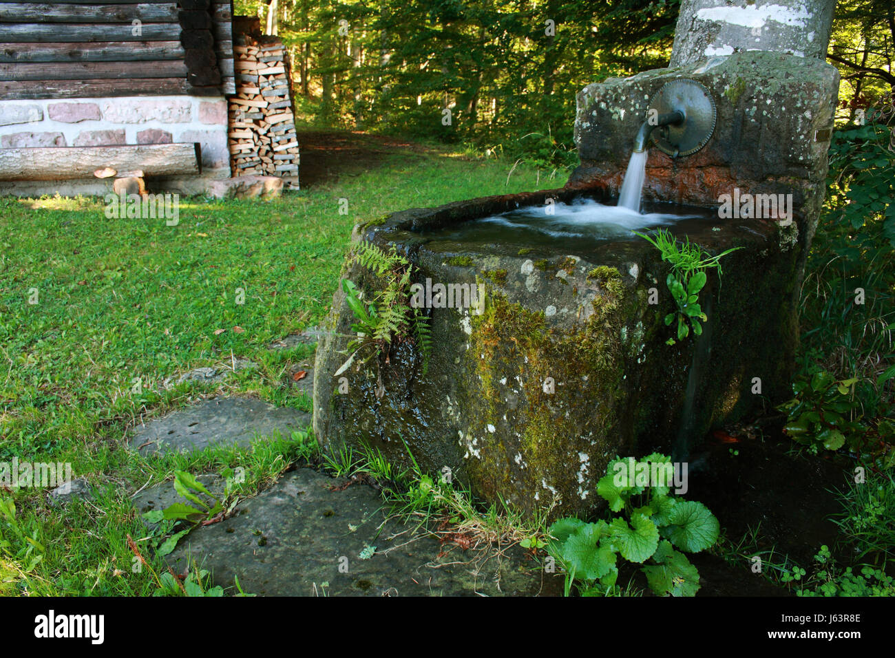 tree stone wood fountain lodge forest water hut drink drinking bibs ...