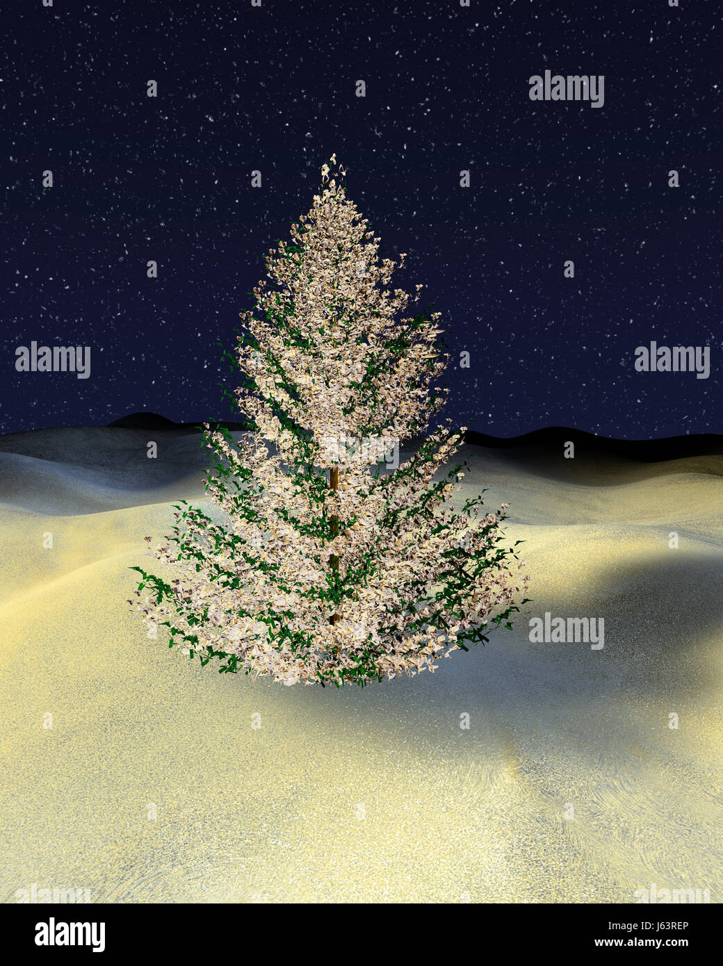 night nighttime fir tree snowy christmas tree christmas xmas x-mas tree ...