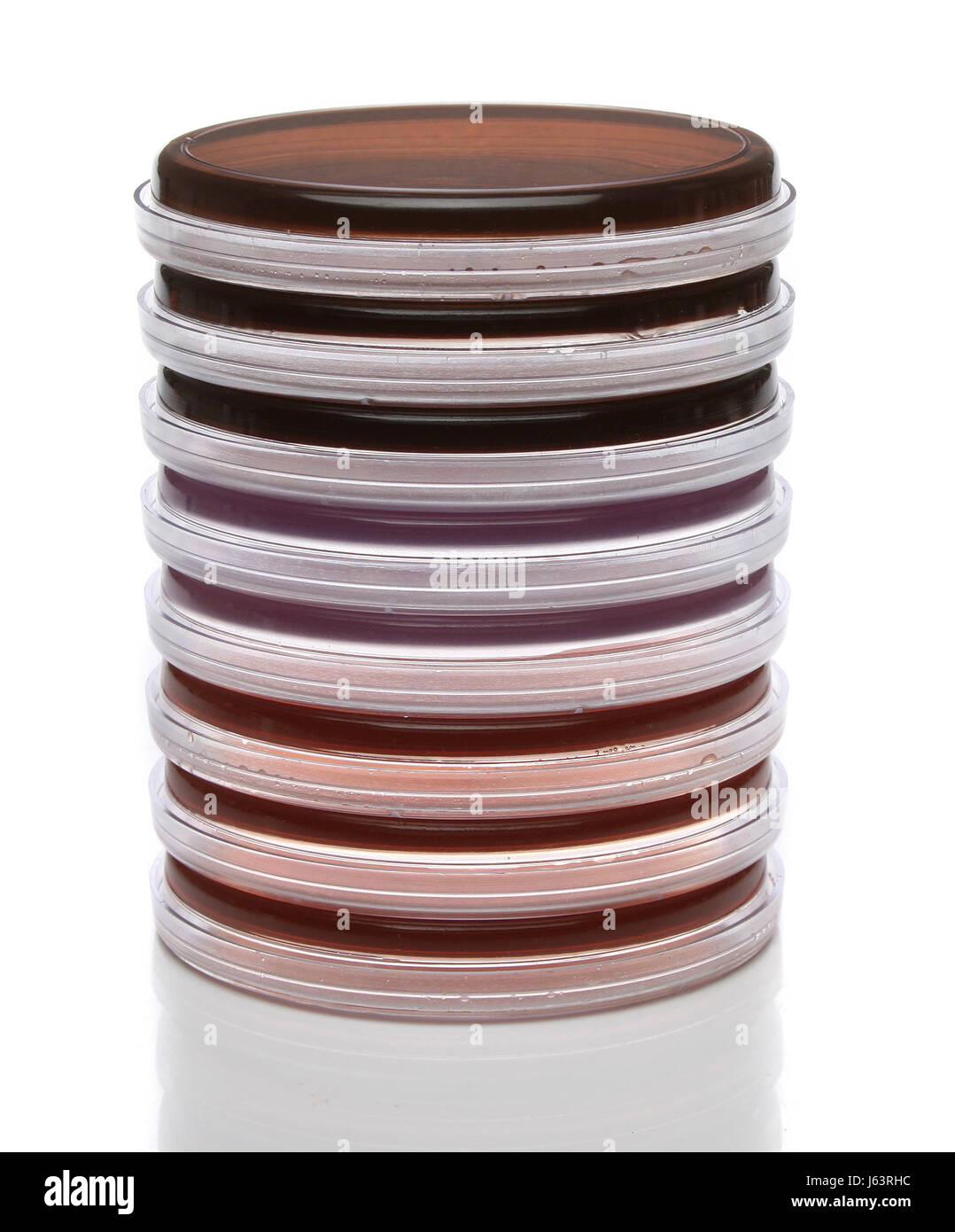 Culture dish injection hi-res stock photography and images - Alamy