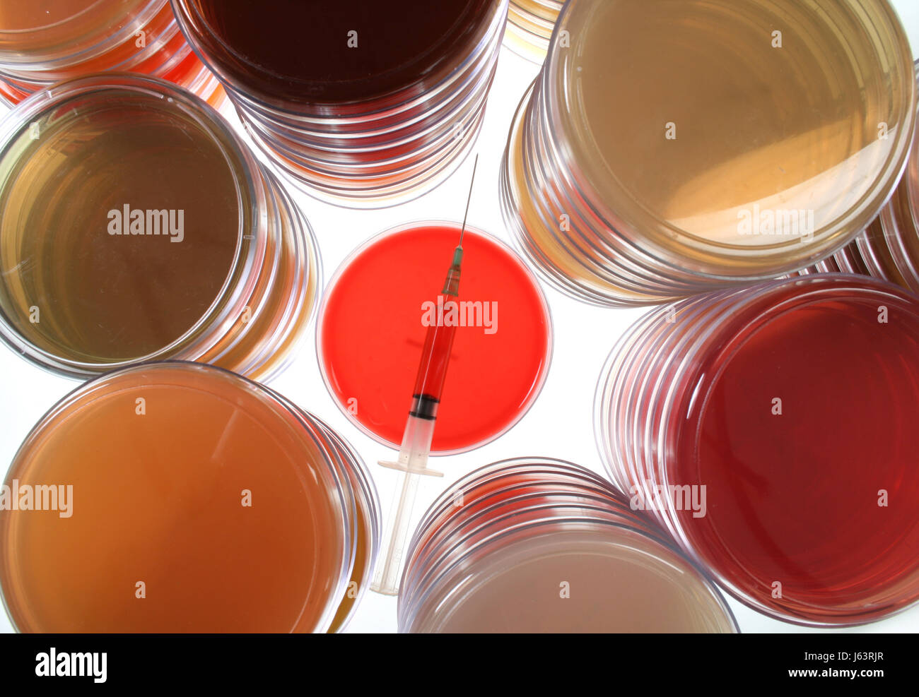 medicinally medical research laboratory dishes paper academic work ...