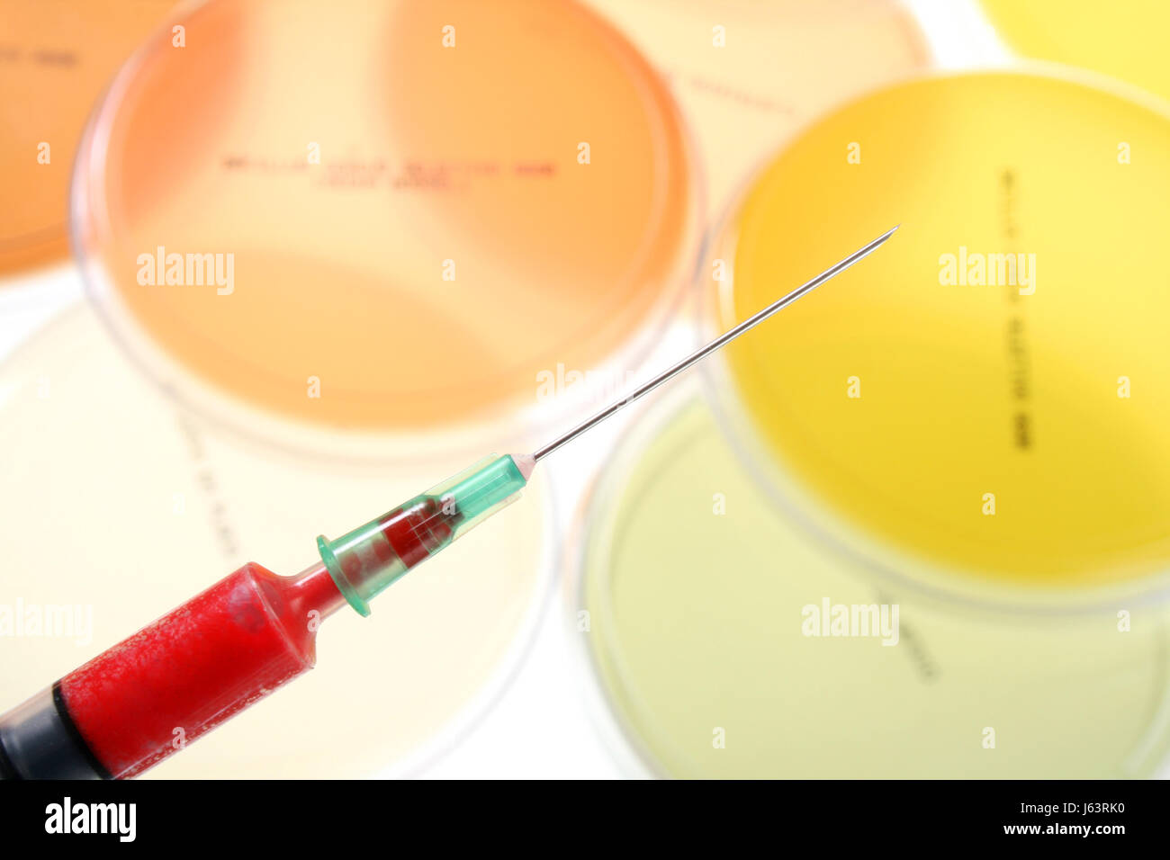 medicinally medical research laboratory dishes paper academic work ...