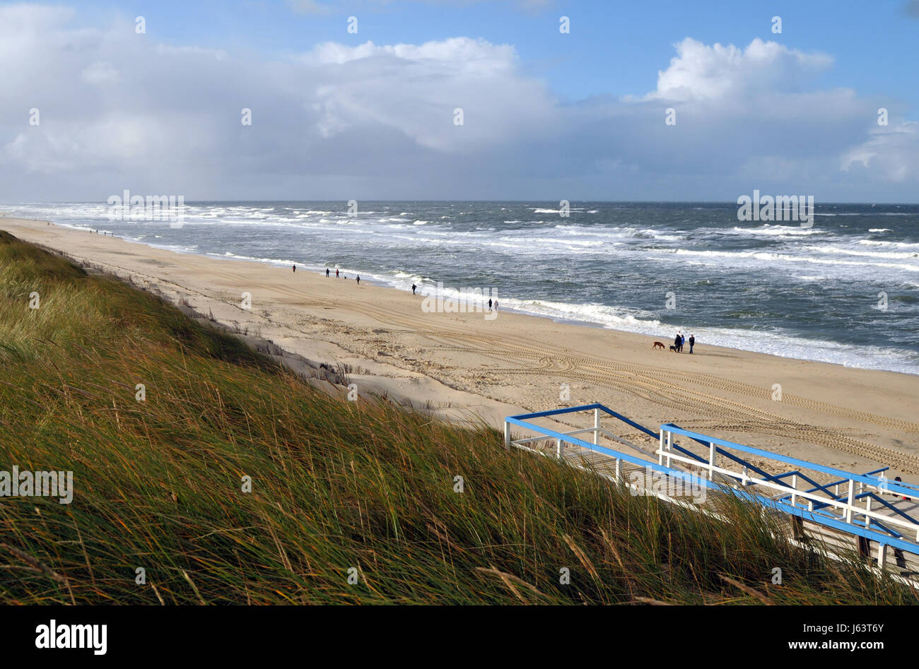 water north sea salt water sea ocean coast surf sylt North Sea island ...