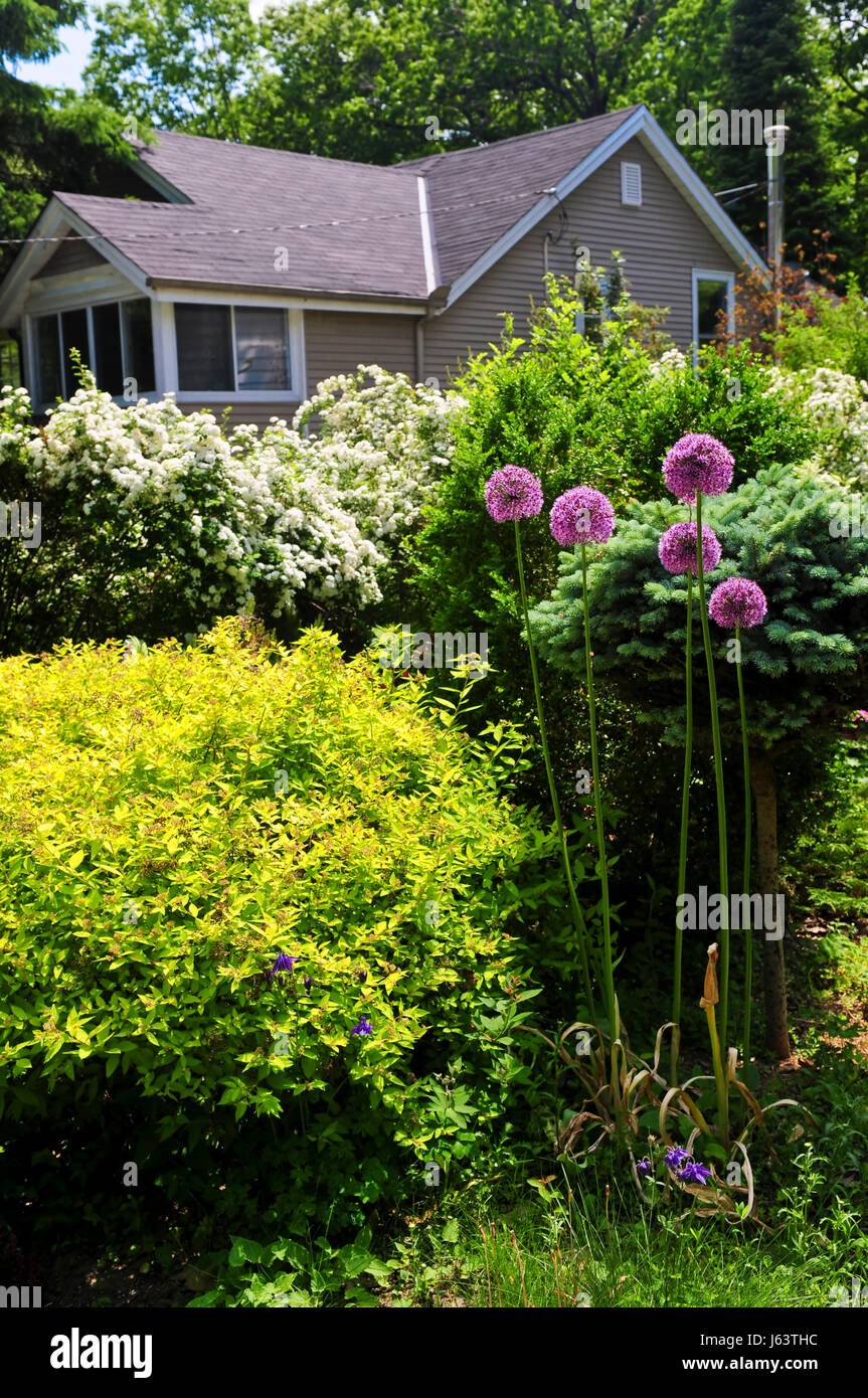 house building garden flower plant home yard private architectural ...