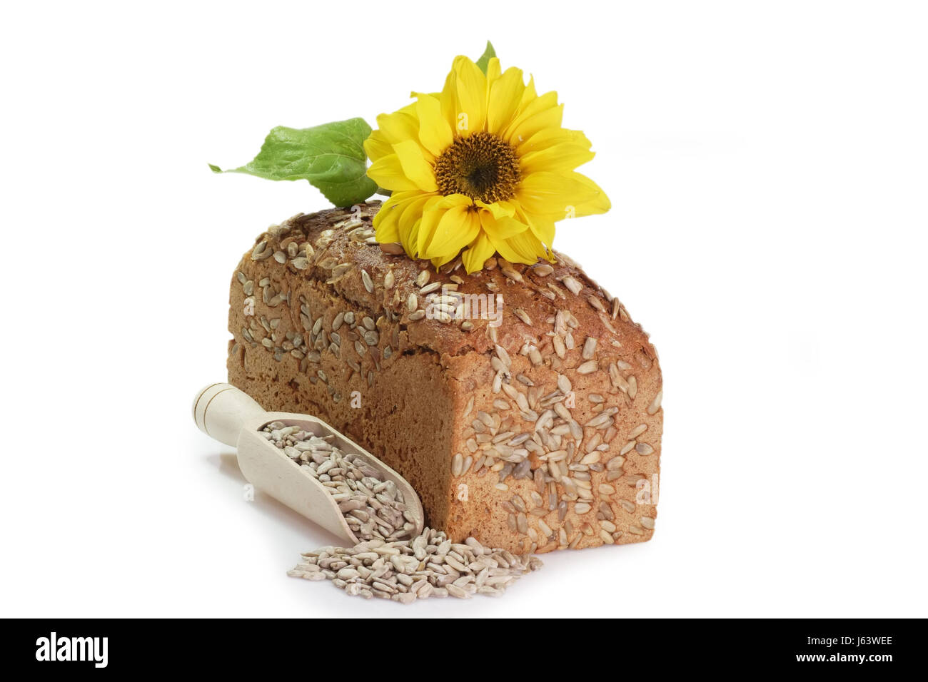bread flower sunflower plant sunflower cores whole-meal bread food ...