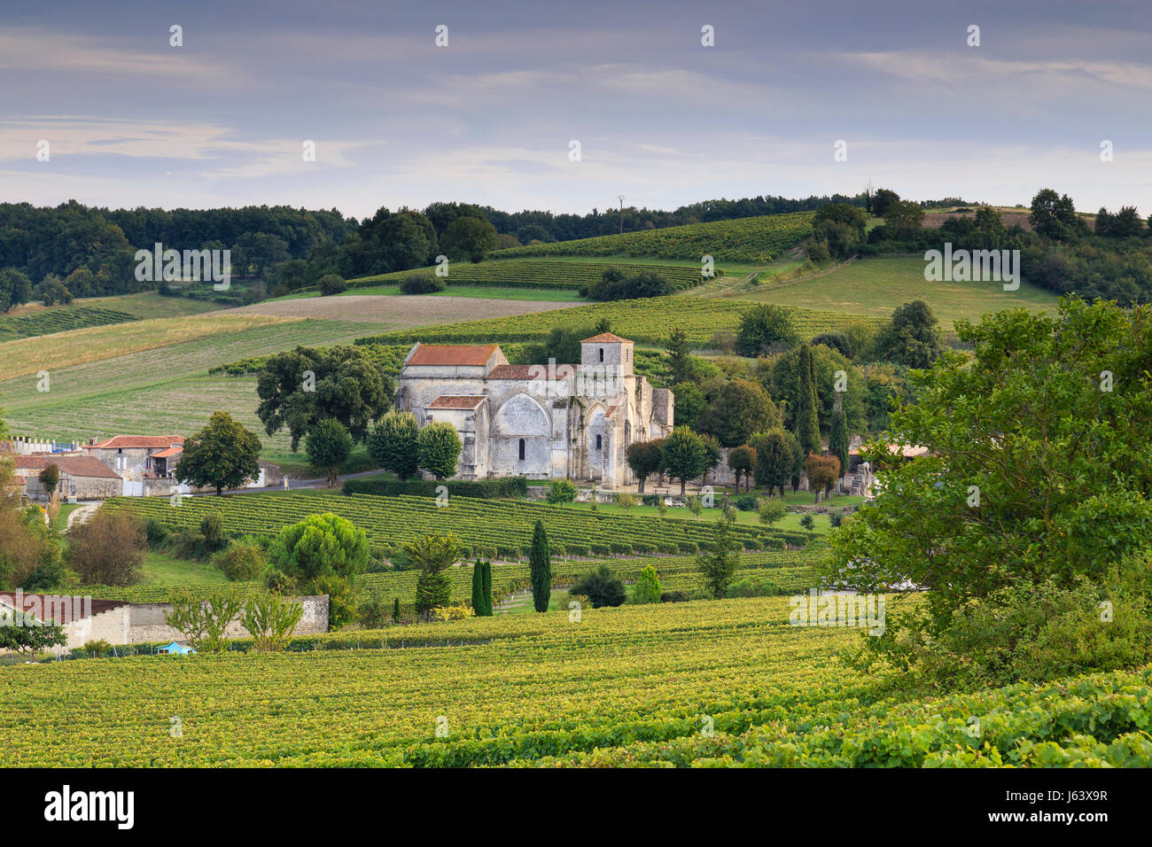 France, Charente, Bouteville, Cognac vineyard and the village with ...
