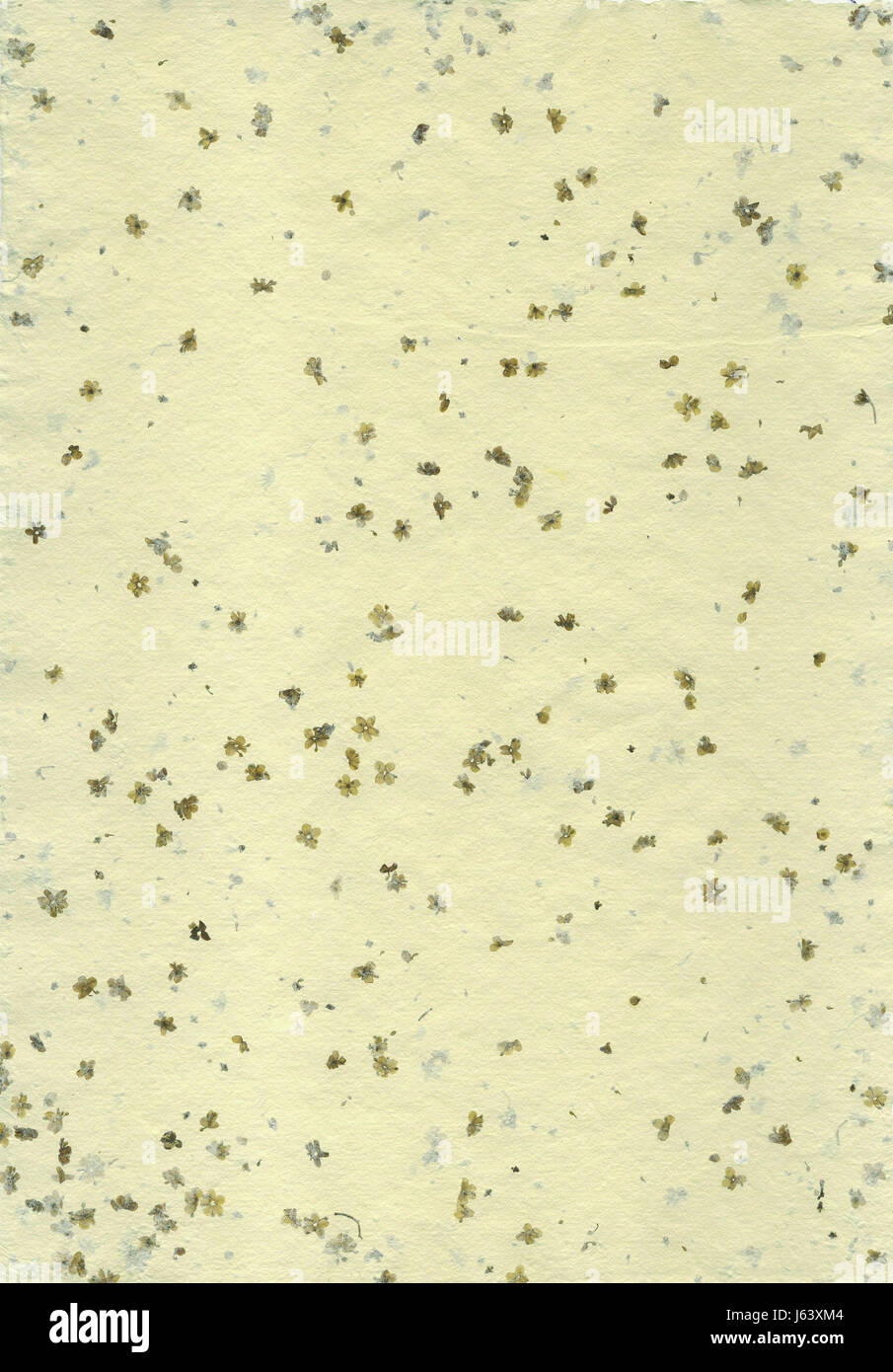 surface sheet of paper paper backdrop background texture natural art ...